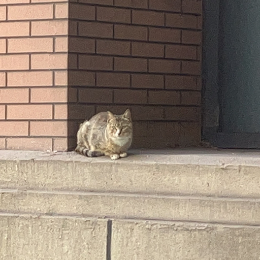 这个昵称有点趣 