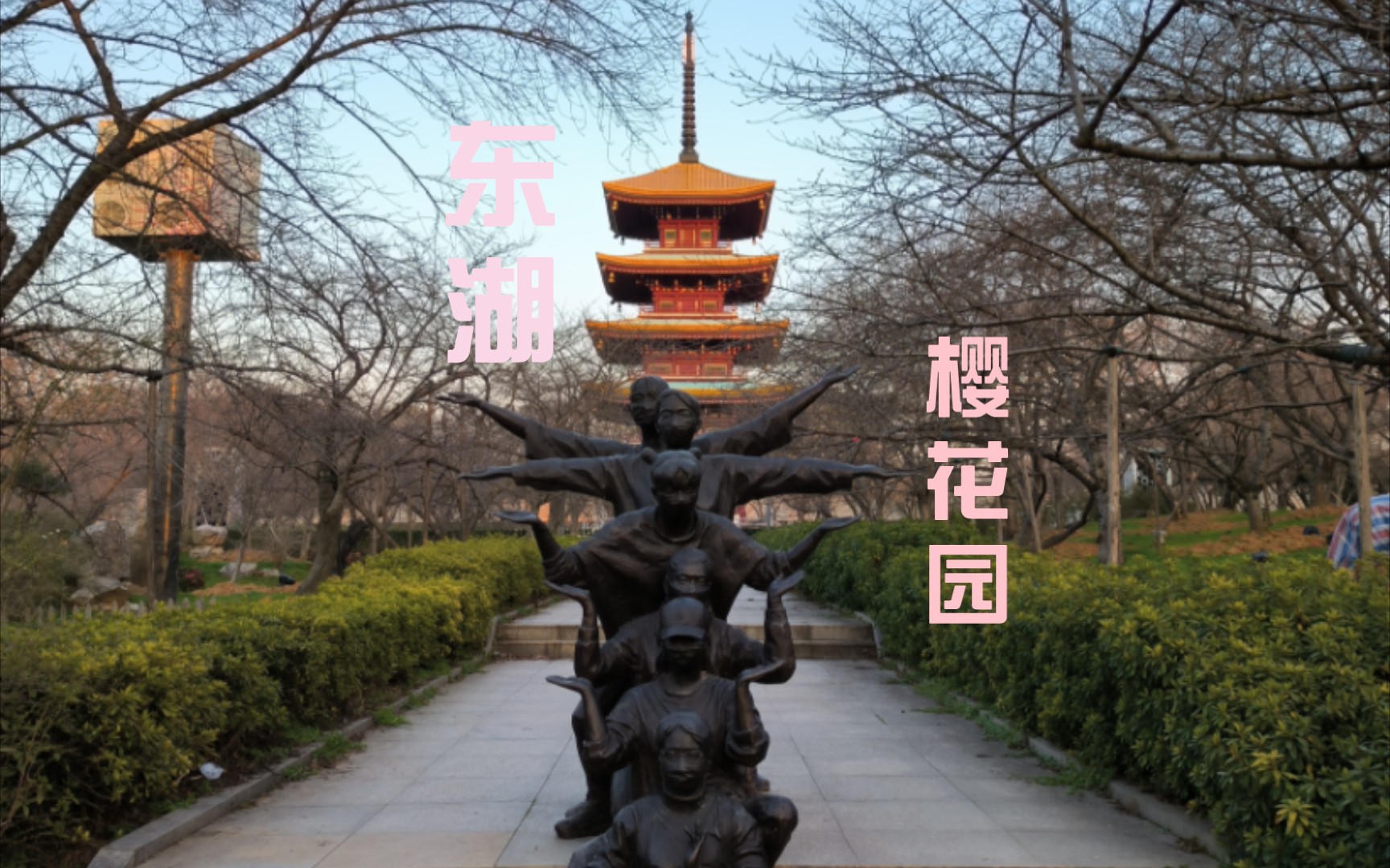 【湖北旅游】实拍湖北武汉世界级赏樱圣地,东湖樱花园,风景不错值得...