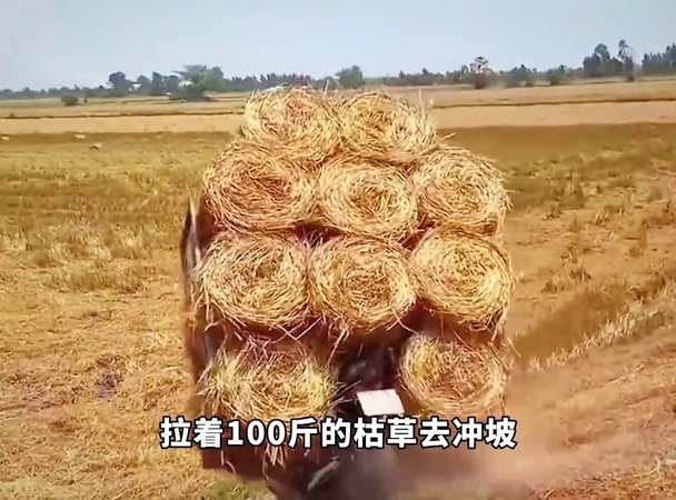 原来这些干枯的稻草竟然大有用处