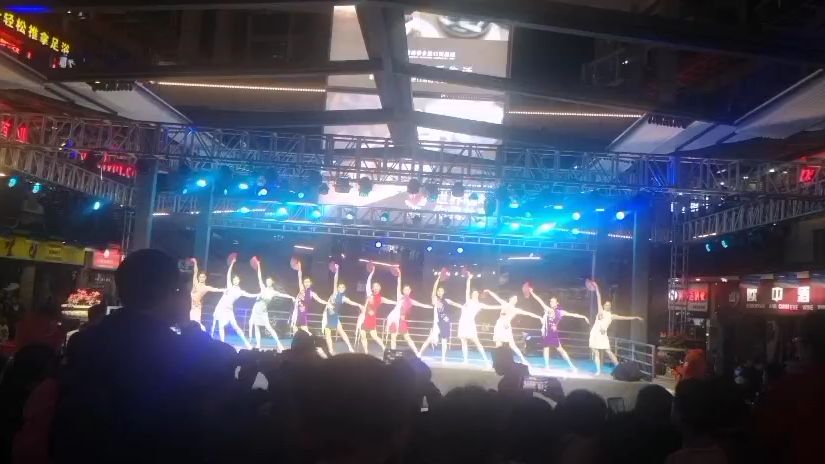 青田侨博会,热闹的舞台