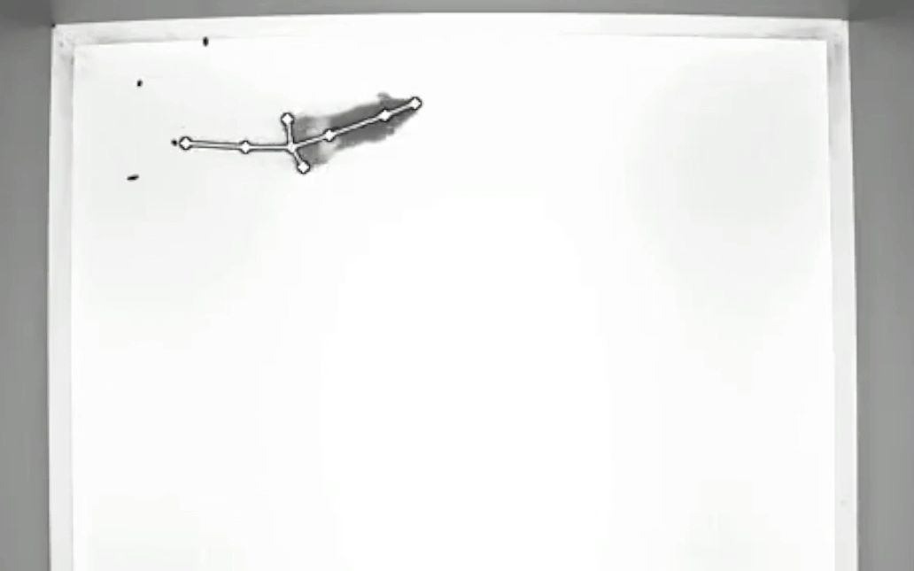 上海欣软推荐一种在旷场实验中确定小鼠姿势以提取关键步态和姿势...