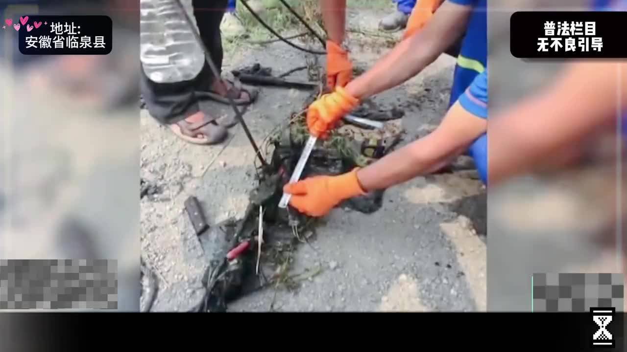 #案件故事解说 #案件 #案件纪实 #真实事件 #大案纪实  请看她与他的...