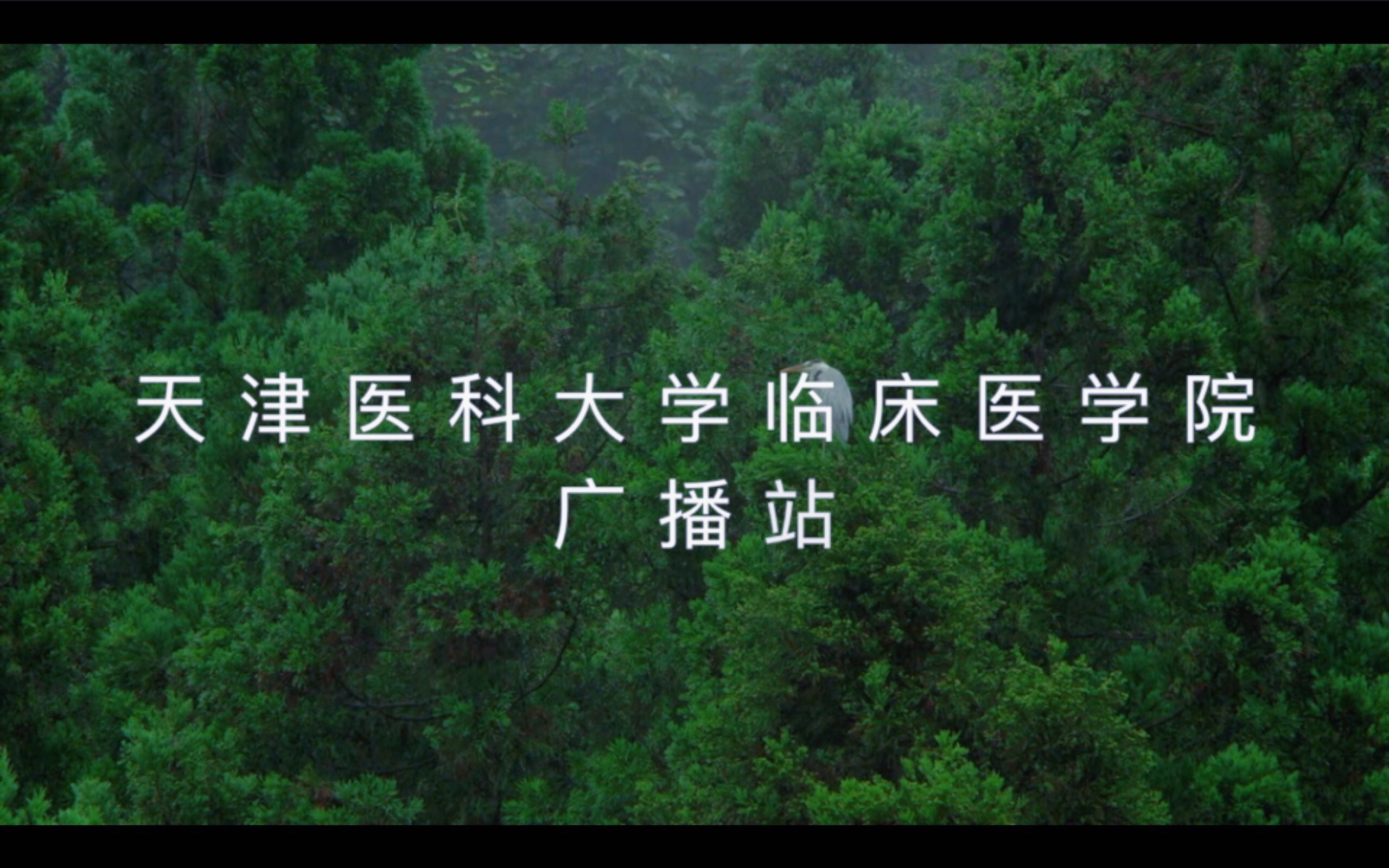 天津医科大学临床医学院广播站 纳新宣传片