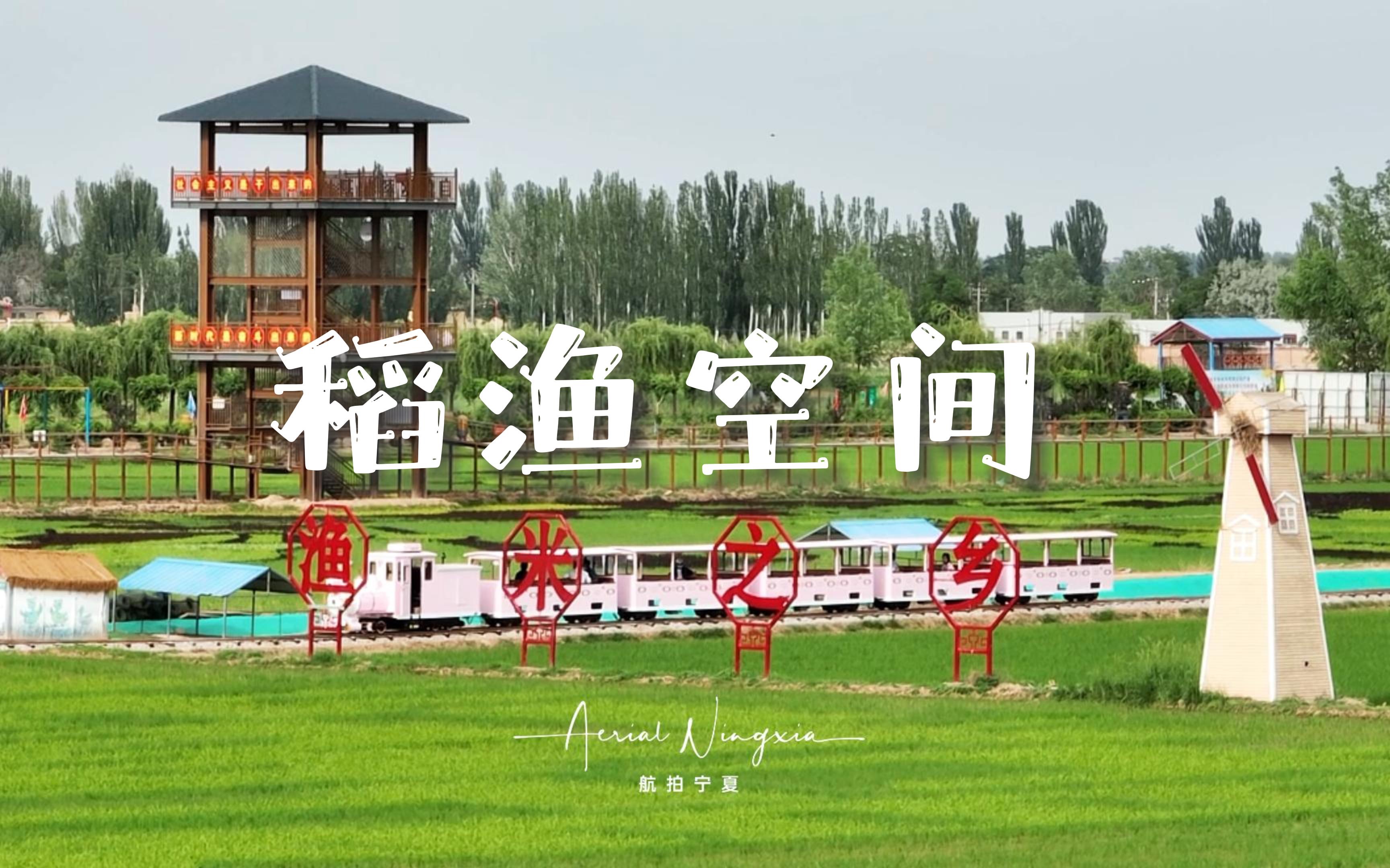 宁夏银川稻渔空间,稻田中的毕加索!
