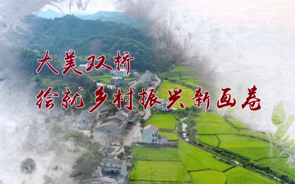 乡村振兴:汨罗市三江镇双桥村宣传