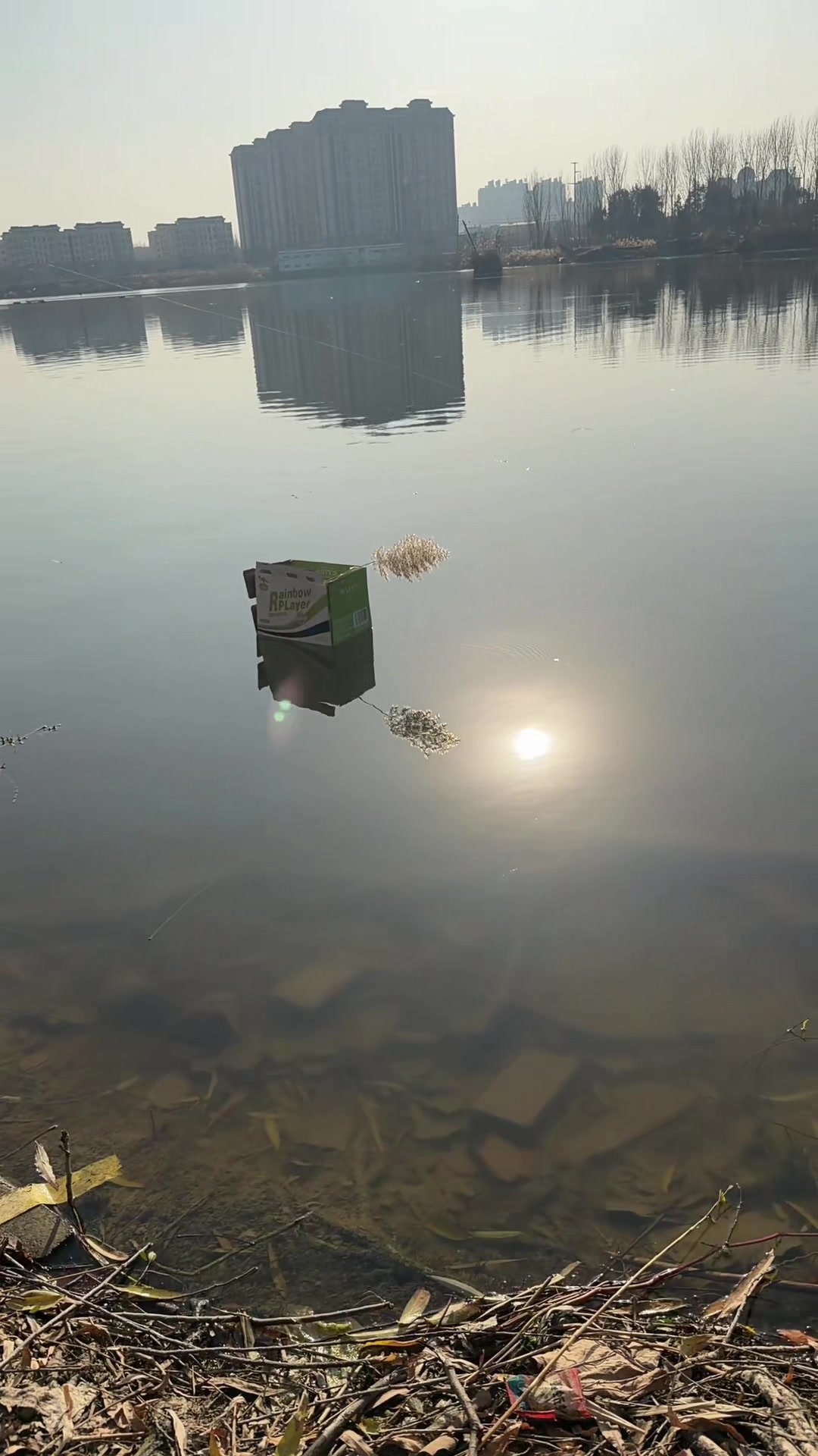 #无人机拍摄 #日常生活 #鲜柠檬片泡水的功效与作用 #电玩城 #游戏机