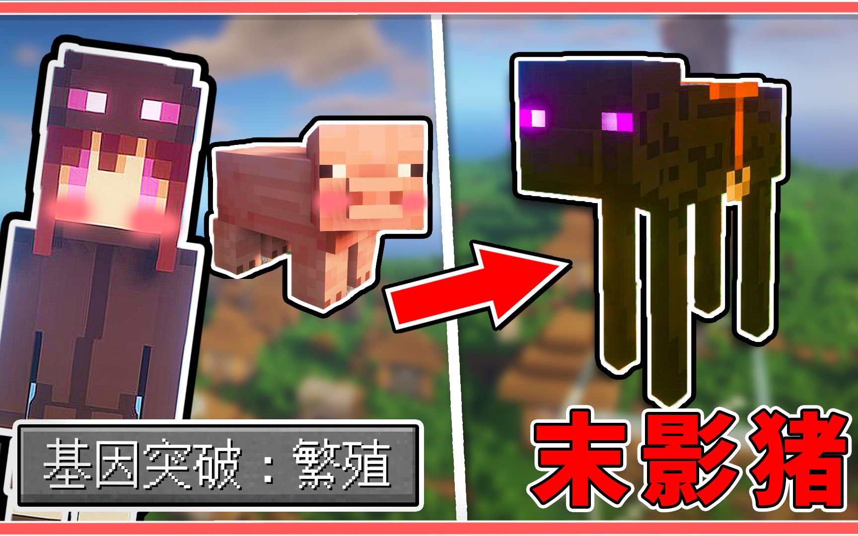 MC新生物:末 影 珍 猪? 拥有双重生物特性,可制作瞬移药水!【我的世界】