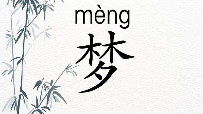 练字 每日练习 汉字梦的写法与笔画顺序动画演示 一起来写字