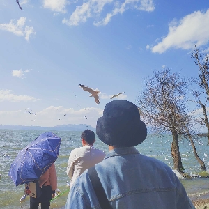 也桂君 