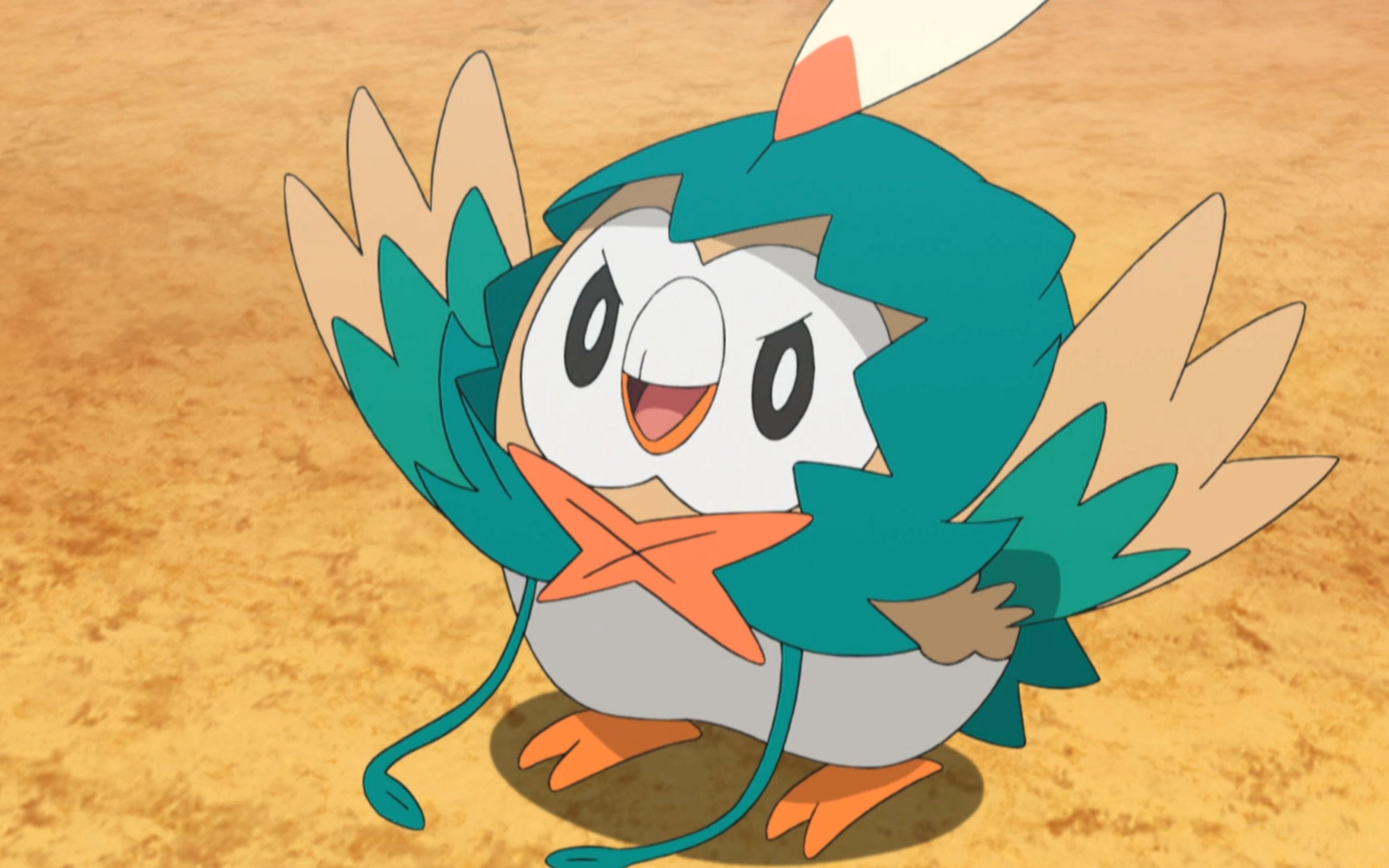 话说真的有人可以拒绝木木枭的可爱吗?!