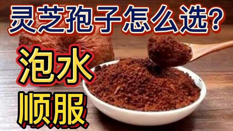灵芝孢子粉怎么选?选什么样的孢子粉吃着才放心?华子分享
