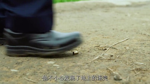 稻田里的稻草人竟是用真人做的