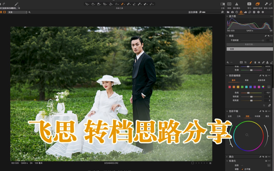 【PS教程】大家都想学习的飞思软件调色教程来了!
