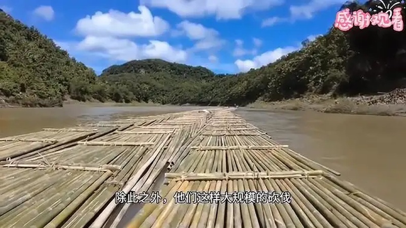 车船税都省了,能不赚钱吗?