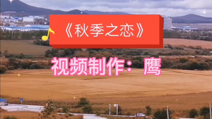 秋季的稻田,金黄灿烂显得非常的美!