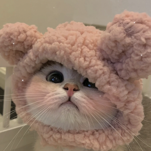 胡星星的公考面试说 