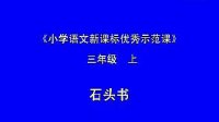 石头书 (小学语文说课及实录) 小学语文优质课课堂教学实录精选