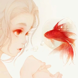小小的金鱼姬 