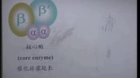 RNA聚合酶