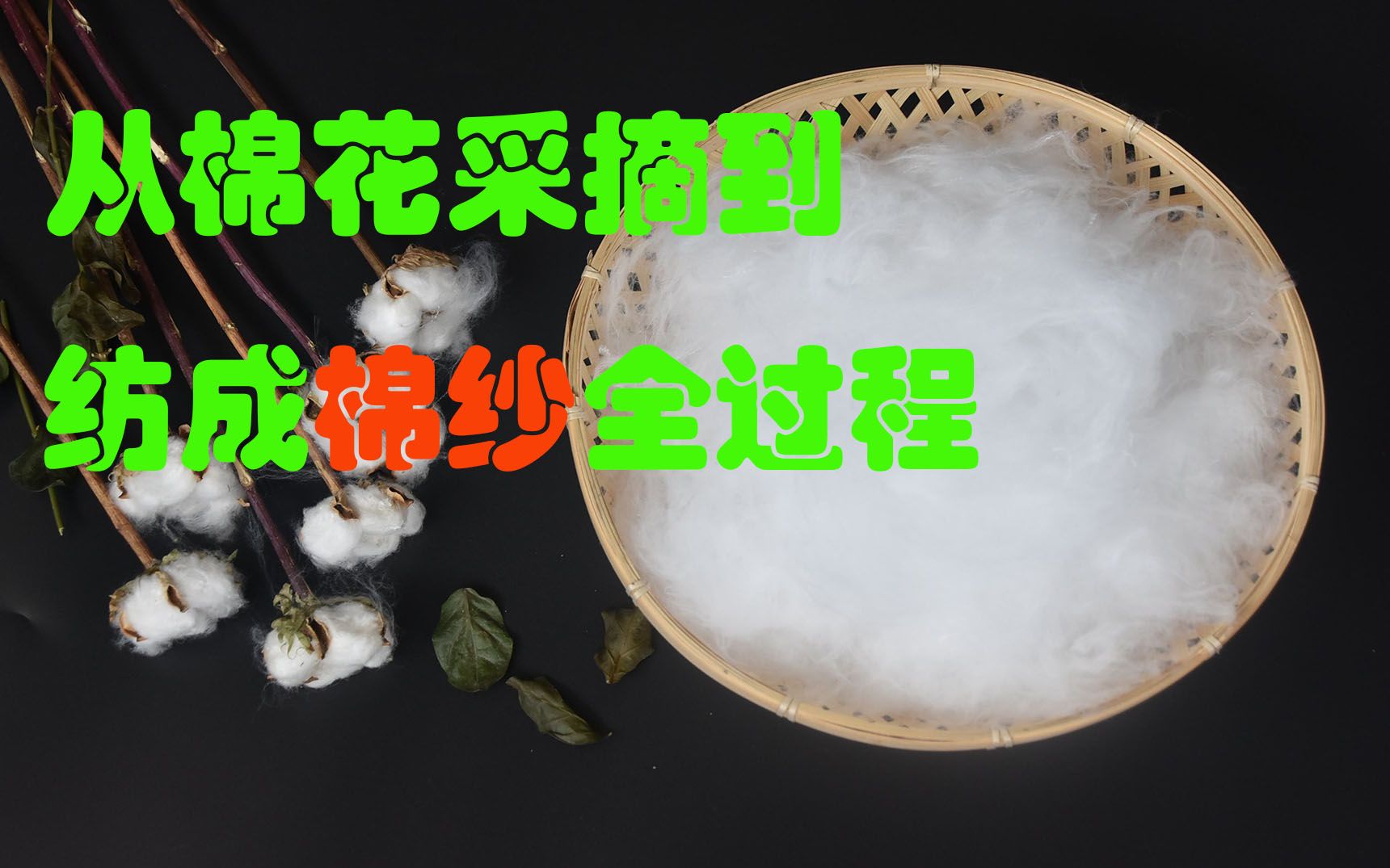 【探索频道】棉纱的的制造过程(字幕版)