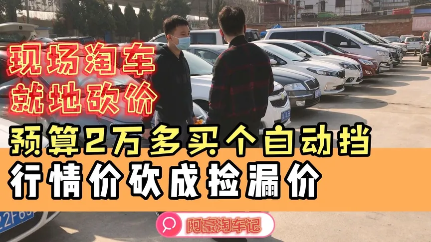 2万左右的自动挡二手车市场上有哪些可以选择实录带粉丝逛市场