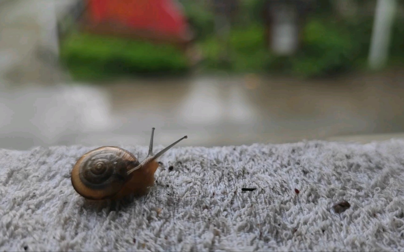 参加了一个重要的会议