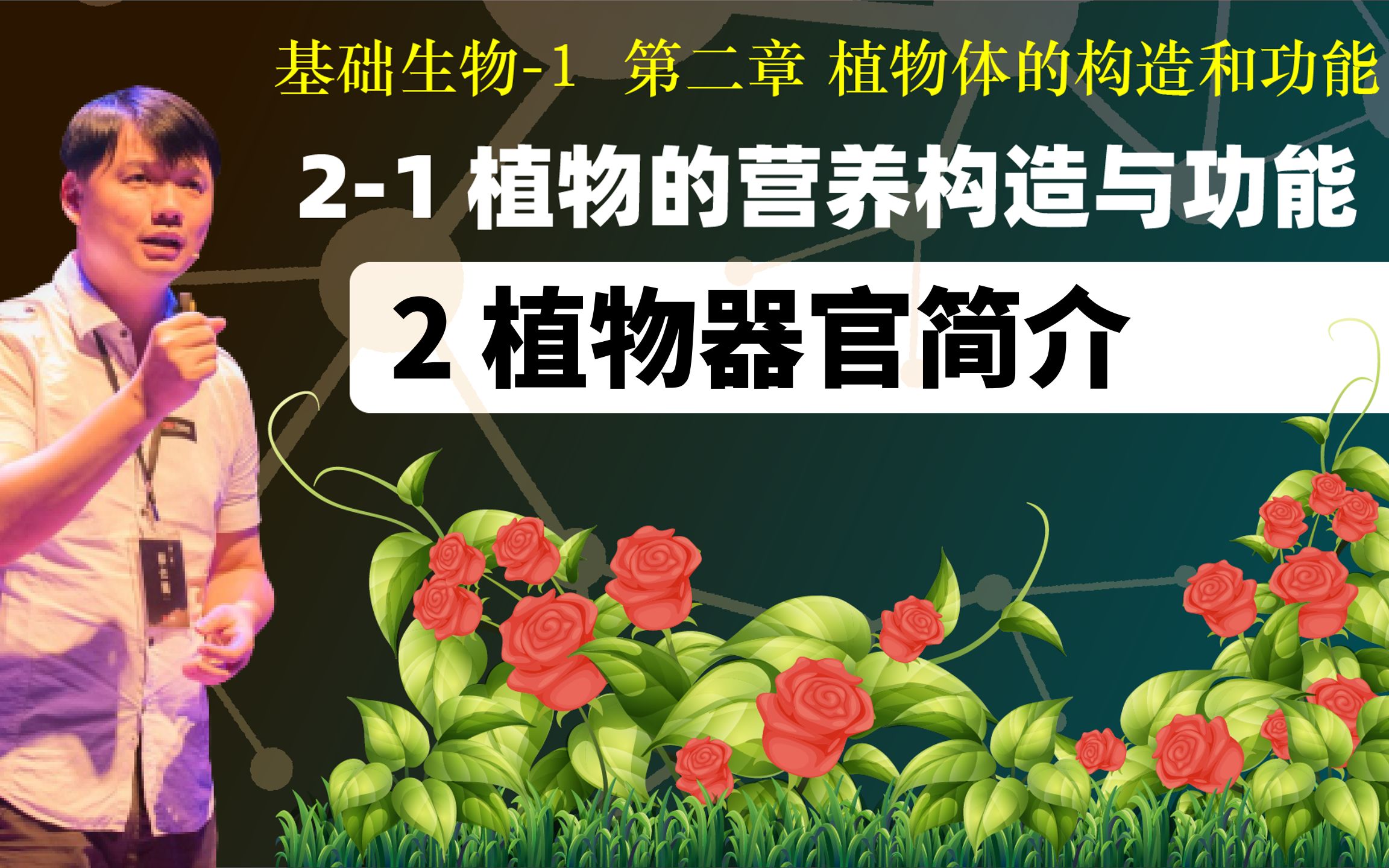 基础生物学 2-1.2 植物器官简介