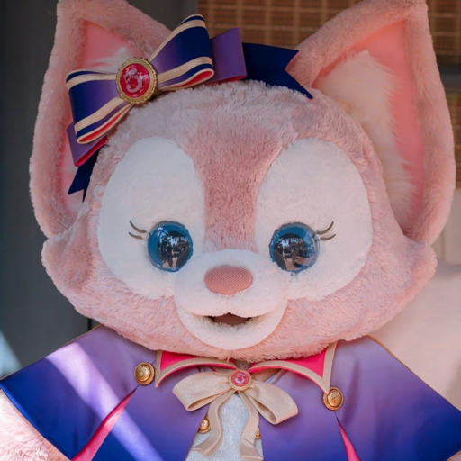 法硕资料小王子yyds 