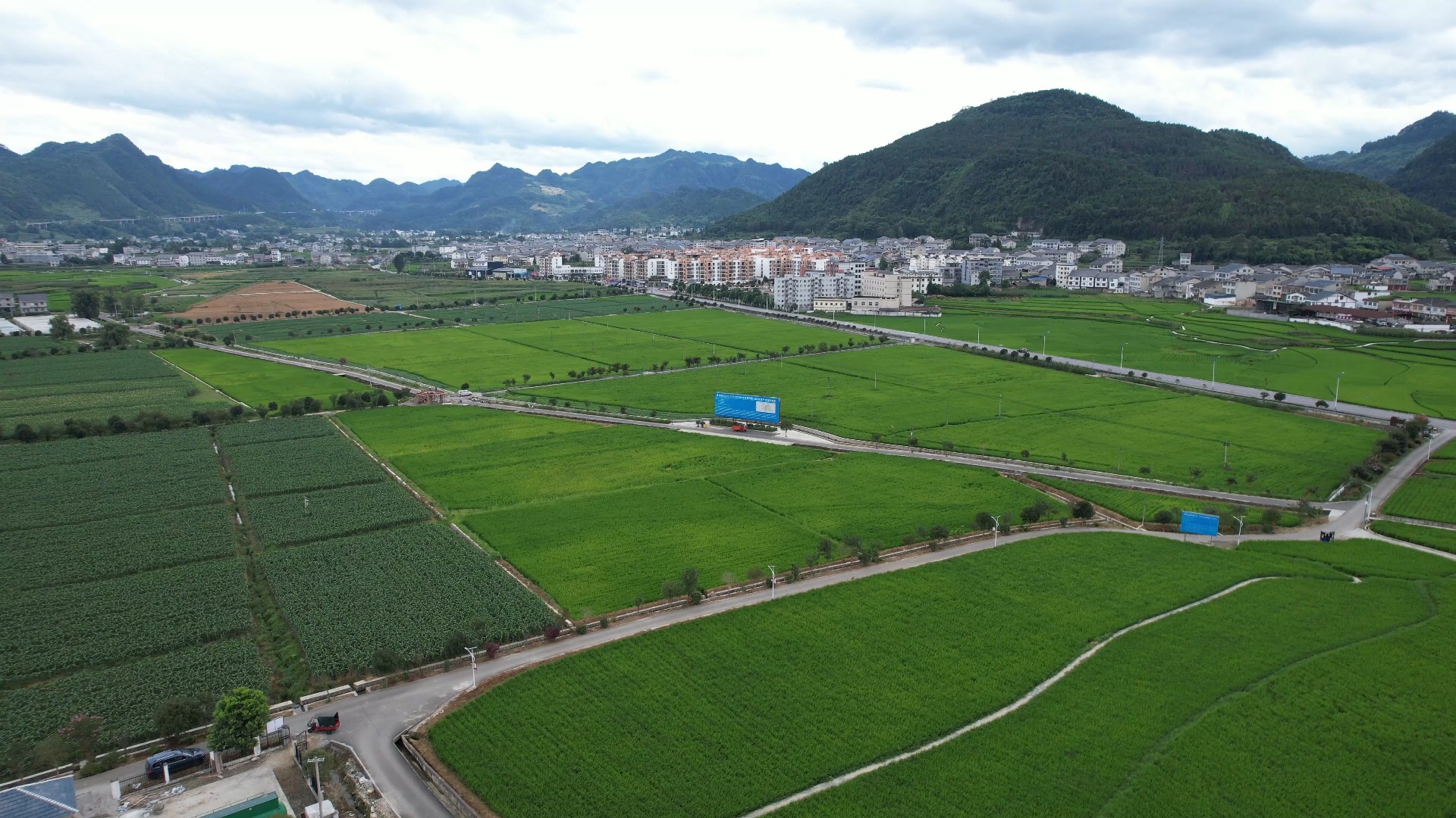旺草高标准农田