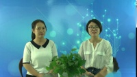 统编三上第二单元《写日记》下集魏怡茜教学反思