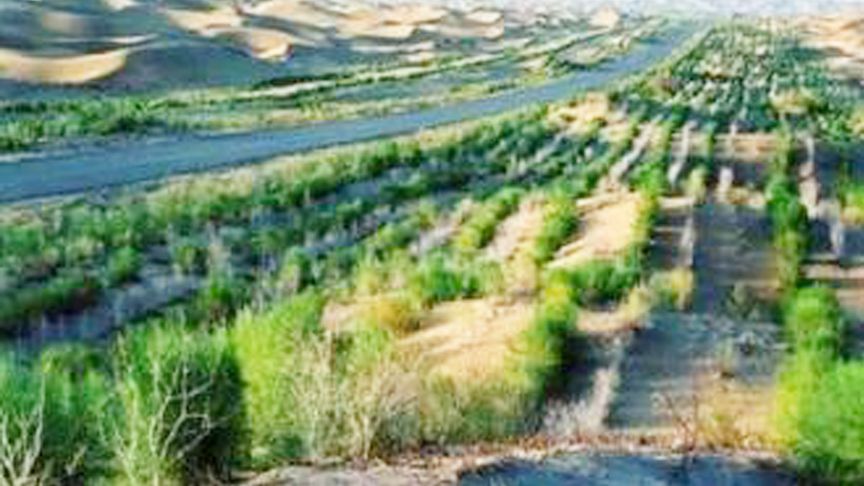 中国治沙新奇迹,沙漠变成绿洲,开辟160万亩农田,沙漠即将消失