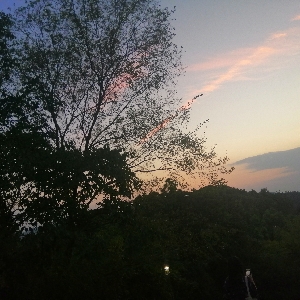 -深海狂鲨- 