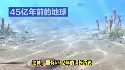 亿年前的神秘发现,真相让人不安!