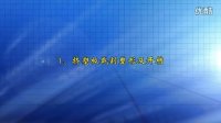 2 FS外模板现浇混凝土复合保温体系