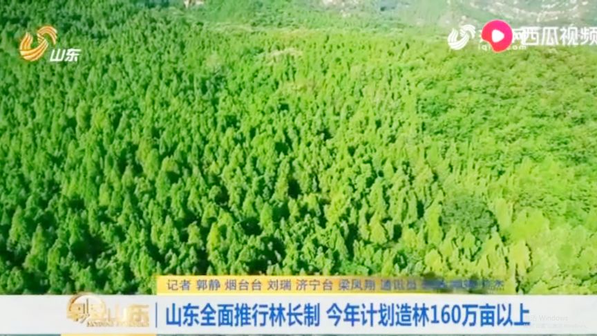 建立“五级”林长制体系,真正实现山有人管、树有人护、责有人担
