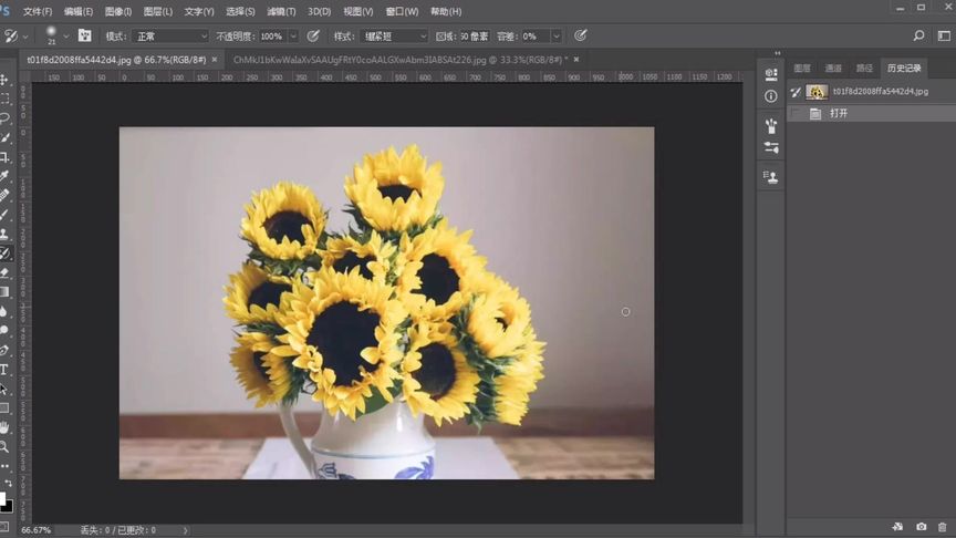 ps零基础教程:历史记录画笔工具、历史记录艺术画笔工具的使用!