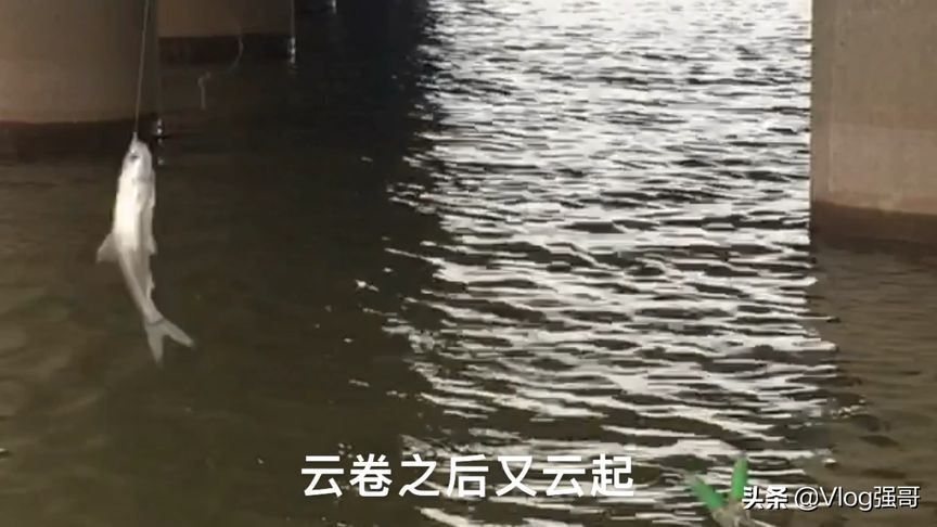 一人一船一支杆,一抛一沉一条鱼,江风拂面鱼漂浮沉,这就是乐趣