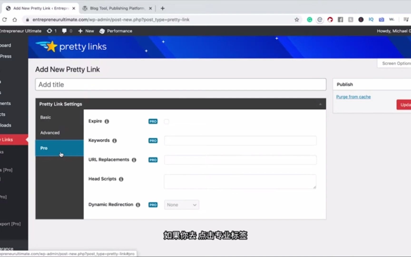 [汉化] Pretty Links Pro 专业版自动短链接管理插件