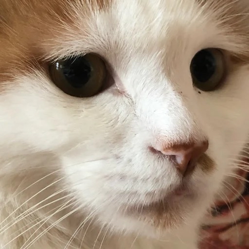 史上最阴间的名字 