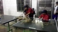 广州市第十四届木结构承重比赛(4)
