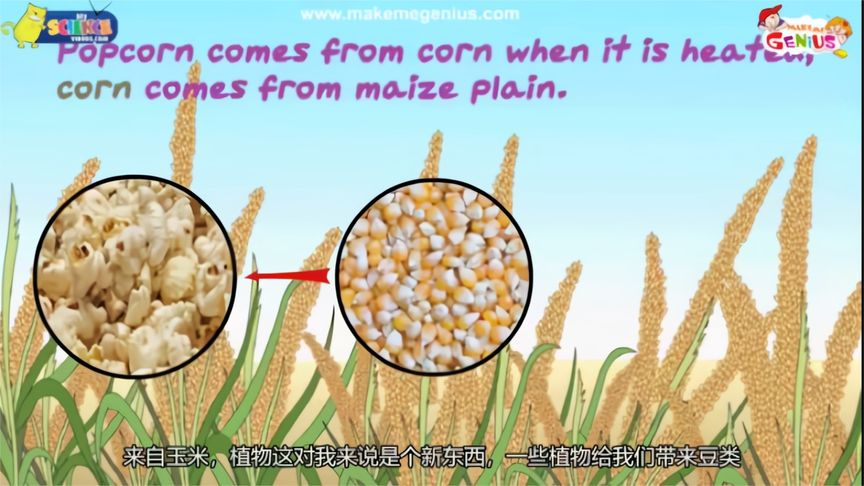 植物对人类的作用