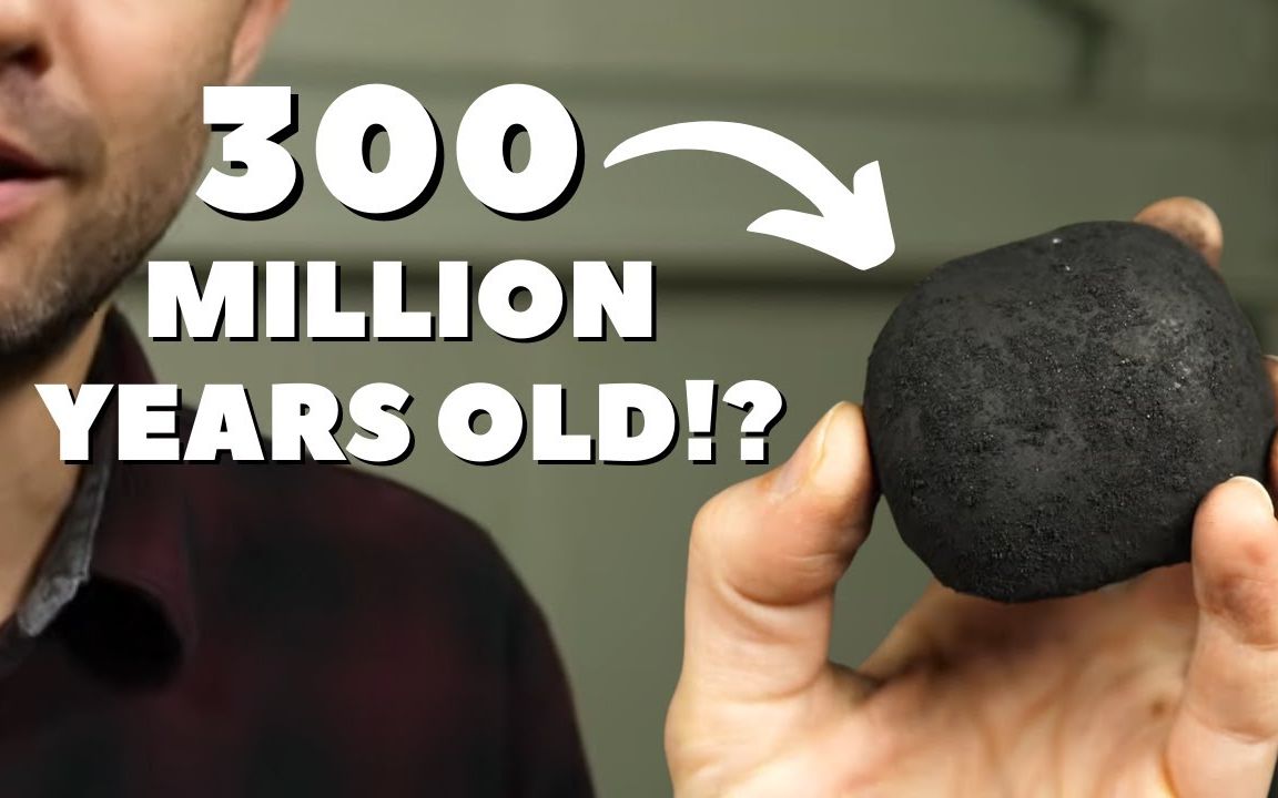 植物的“发明”曾让细菌无从下口?告诉你为什么几乎所有的煤都形成...