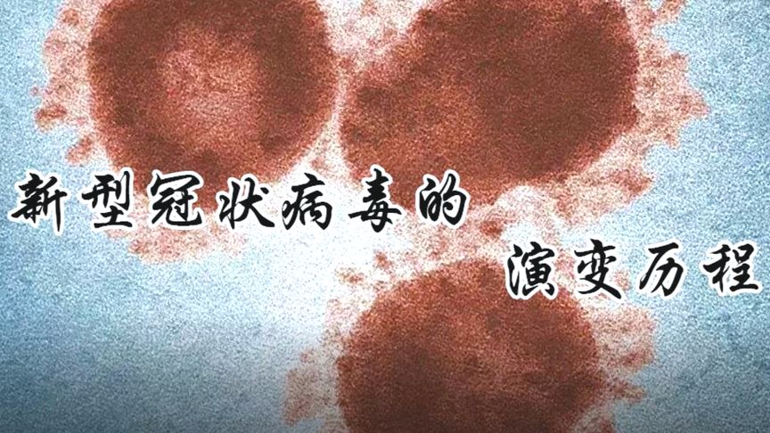 新型冠状病毒进化史!从何而来,如何演变、传染,这个视频讲全了