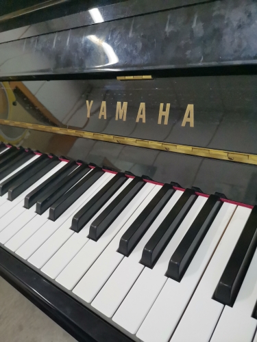 口袋音乐生 