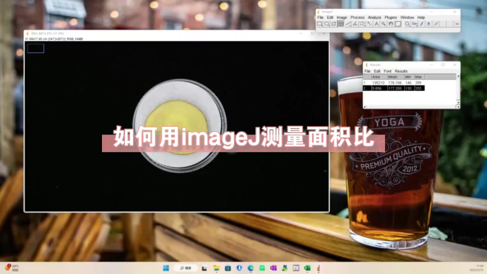 imageJ测量马铃薯病斑面积