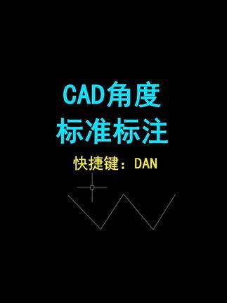 Cad角度标准标注#cad教程 #短视频 #教程 #干货分享 #技术分享