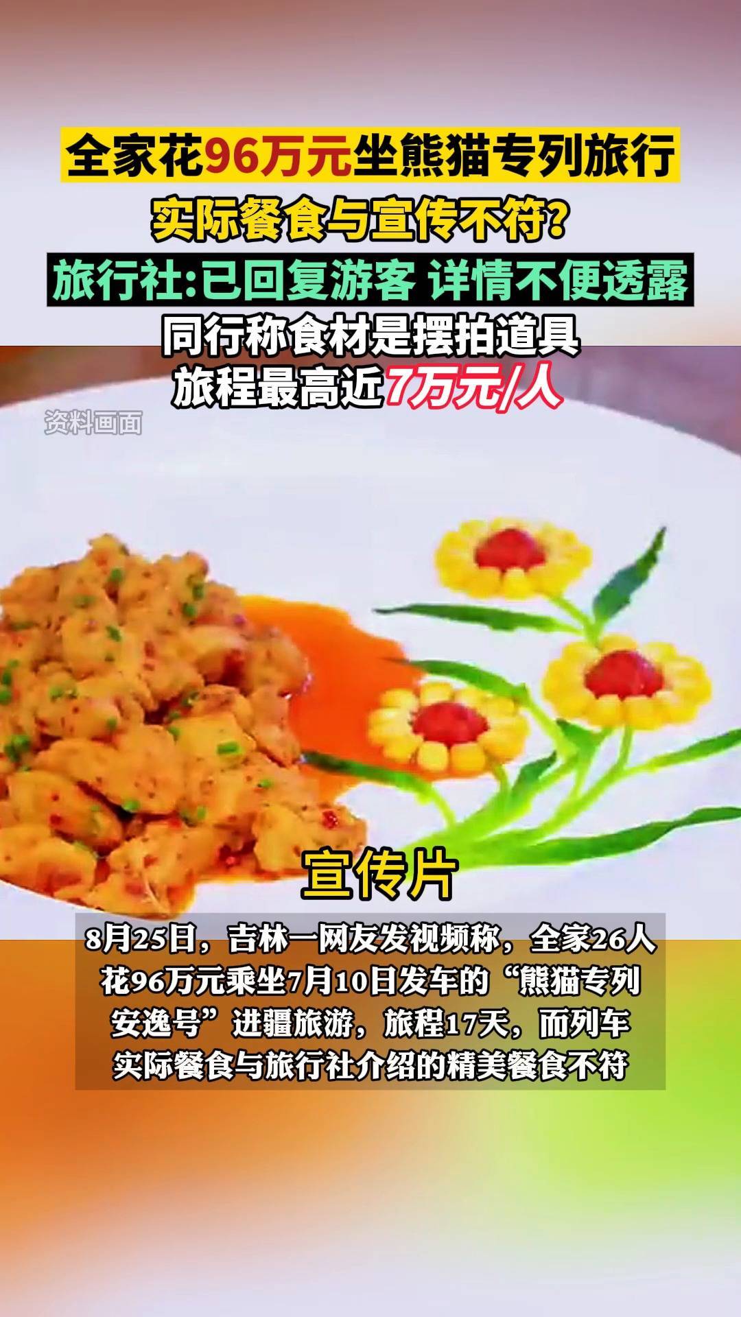 全家花96万元坐熊猫专列旅行,实际餐食与宣传不符?旅行社回应