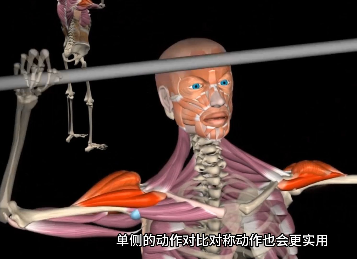 想要肌肉好看又好用,练这几个动作模式