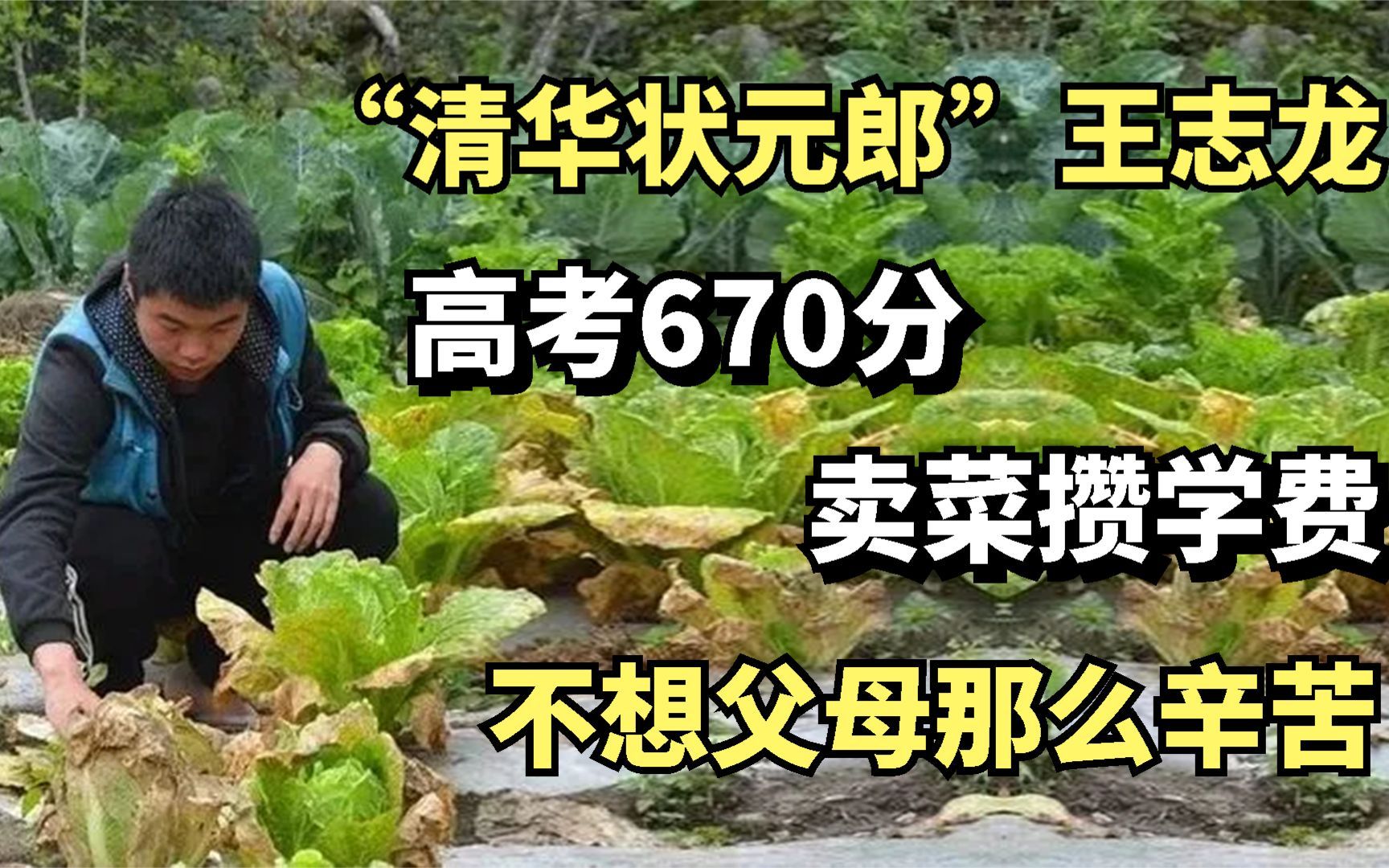 清华状元郎王志龙:高考670分,卖菜攒学费,不想父母那么辛苦