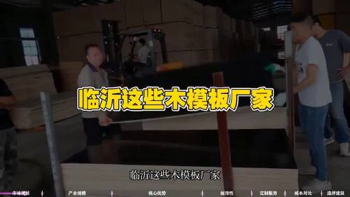 建筑师傅都爱用的圆柱木模板,这家厂家为何成为行业首选?